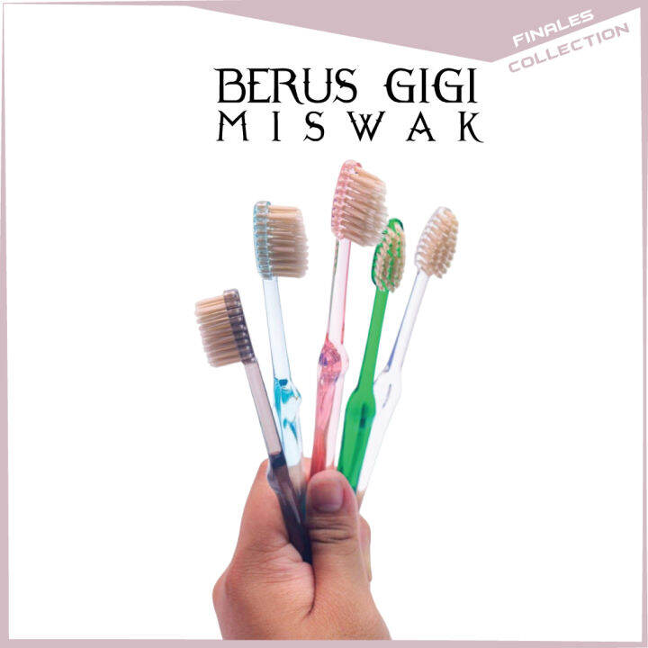 Berus Gigi Miswak Asli Berus Gigi Al-abyad Miswak Bristle Miswak Sunnah ...
