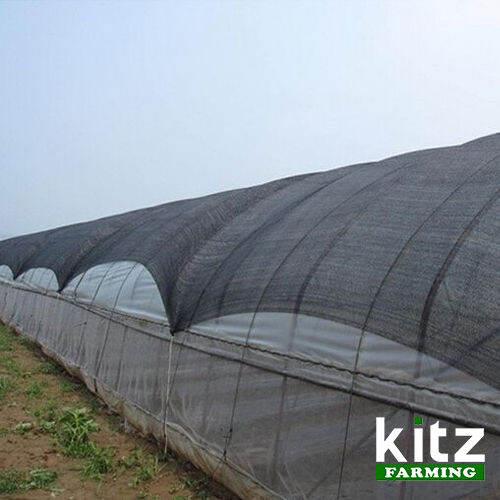 Shade Net (50% Sun Block) - 6ft x 5 Meters | Lazada PH