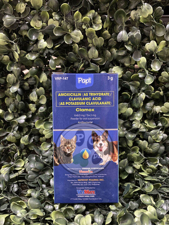 Papi Clamox for Dogs and Cats 3g | Lazada PH