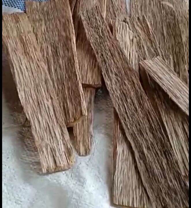 Kayu Gaharu Kayu Asli Gaharu Agarwood oud fashion muslim kayu gaharu ...