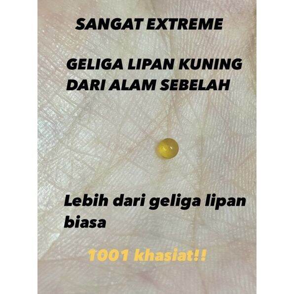 geliga lipan kuning EXTREME alam sebelah( 5g) | Lazada