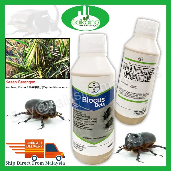 1L Blocus Beta / Kumbang Tanduk & RPW Kumbang Merah - Pokok Kelapa ...