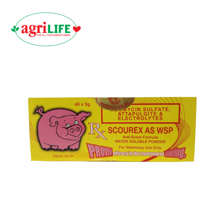 Scourex AS WSP Powder 5g x 40's | Lazada PH
