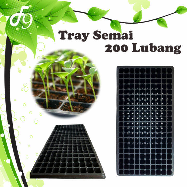Tray Semai Bibit Seeding Tray 200 Lubang Tanam | Lazada Indonesia