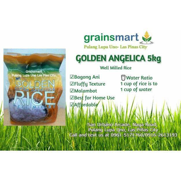 ♦Grainsmart Golden Super Angelica Well Milled Rice (5kg) | Lazada PH