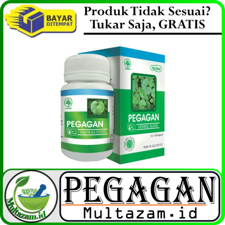 ( MULTAZAM.ID ) Obat Herbal Pegagan HIU 60 Kapsul | Herbal Pegagan 60c ...