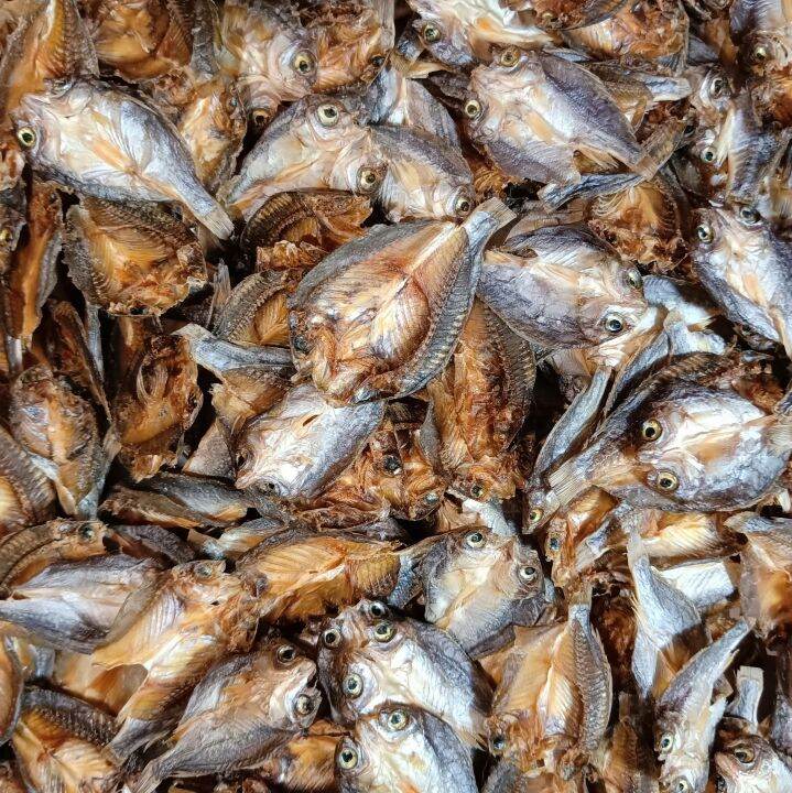 Daing na Ayungin, 80g (DENCIO'S Daing na Ayungin) | Lazada PH