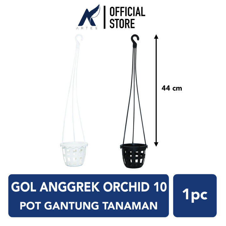 GOL POT ANGGREK ORCHID 10 GANTUNG Tanaman-Tumbuhan Hias-Bunga-Sukulen ...