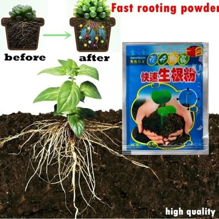 CILL Growing Farm Vegetables Flower Bonsai Supplies Germination Hormone ...
