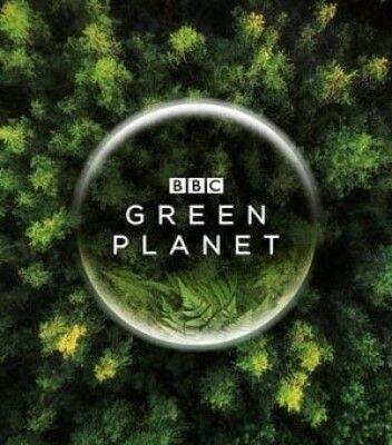 BLURAY BBC The Green Planet (2022) [Dolby TrueHD 7.1] Nature ...