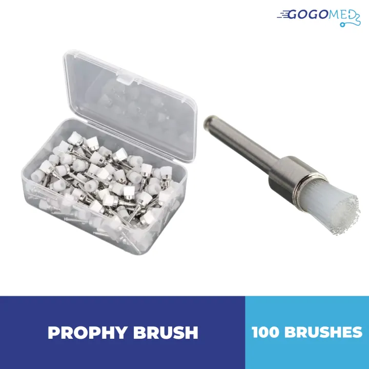 Prophy Brush Latch Type 100 Pieces | Lazada PH
