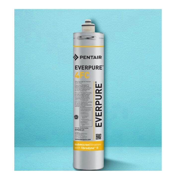 Everpure 4FC Water Filter | Lazada