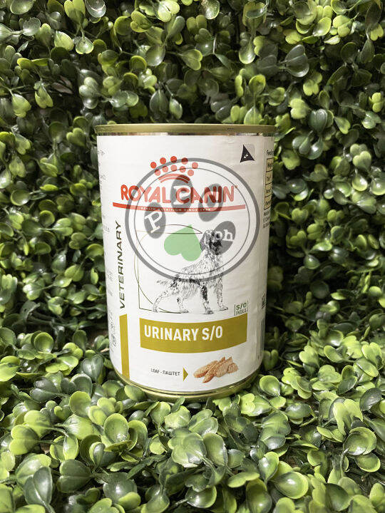 Royal Canin Urinary SO Wet Dog Food 410g | Lazada PH