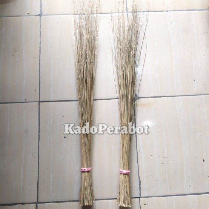 sapu lidi kelapa - sapu lidi biasa - sapu lidi - sapu lidi halaman ...