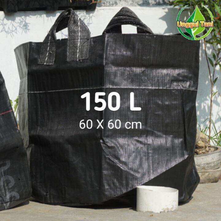 Planter Bag Ukuran 60x60cm Pot Tanaman Buah kapasitas 150L | Lazada ...