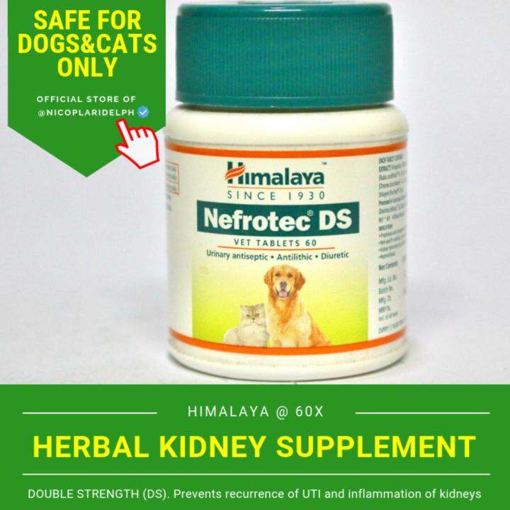 Himalaya Nefrotec DS Urinary Antiseptic, Antilithic and Diuretic for ...