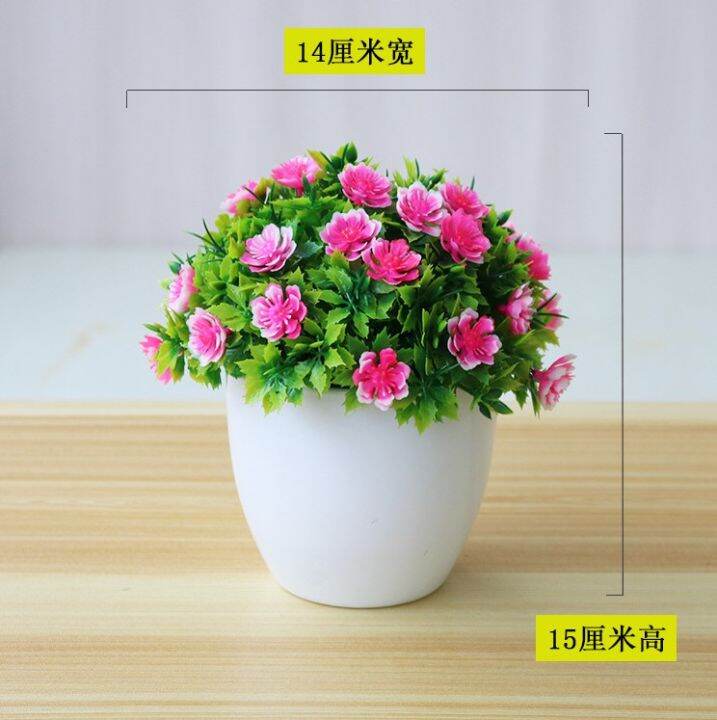 Tanaman hias , tanaman dekorasi , tanaman plastik, tanaman cafe ...