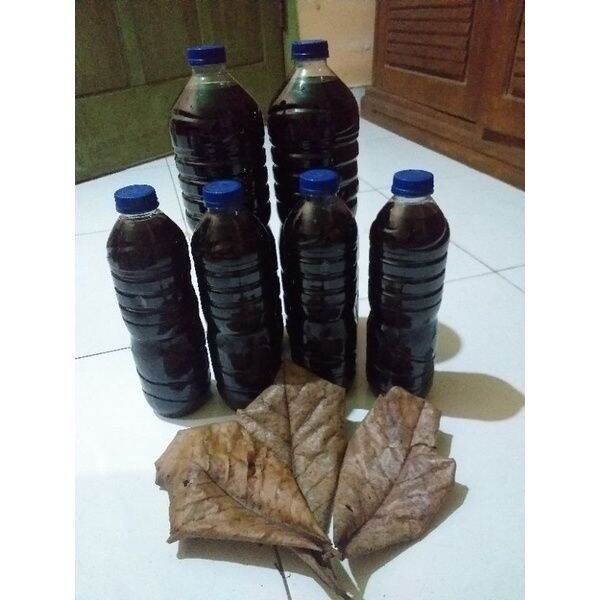 HIGH CONCENTRATED CATAPPA EXTRACT | EKSTRAK KETAPANG LAUT PEKAT | Lazada