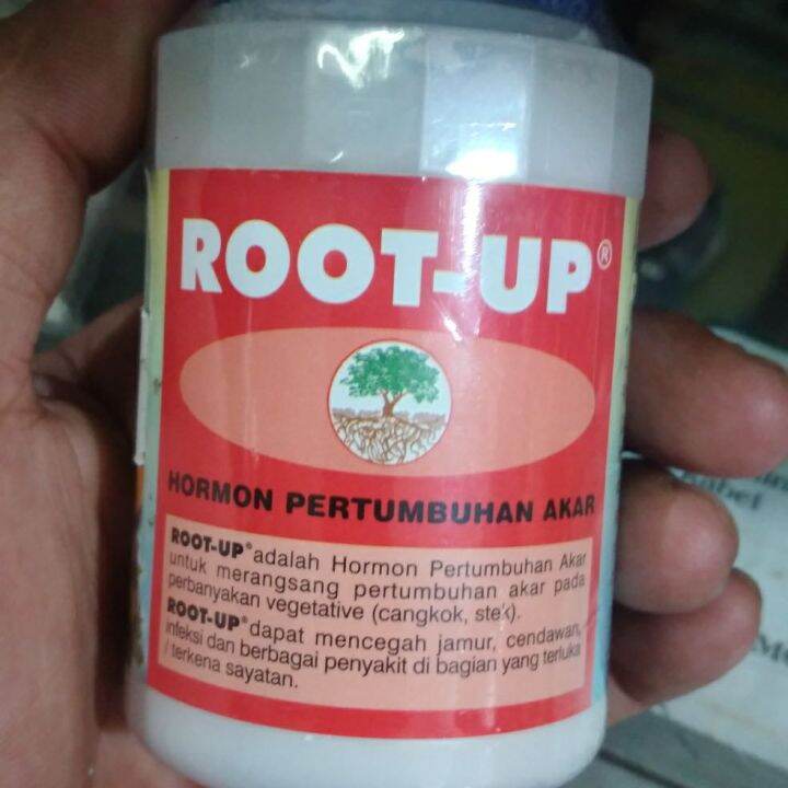pupuk perangsang akar | Lazada Indonesia