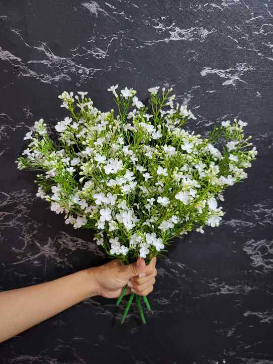 Bunga Baby's Breath Gypsophila Colorful Dekor Rumah Kantor Wedding ...