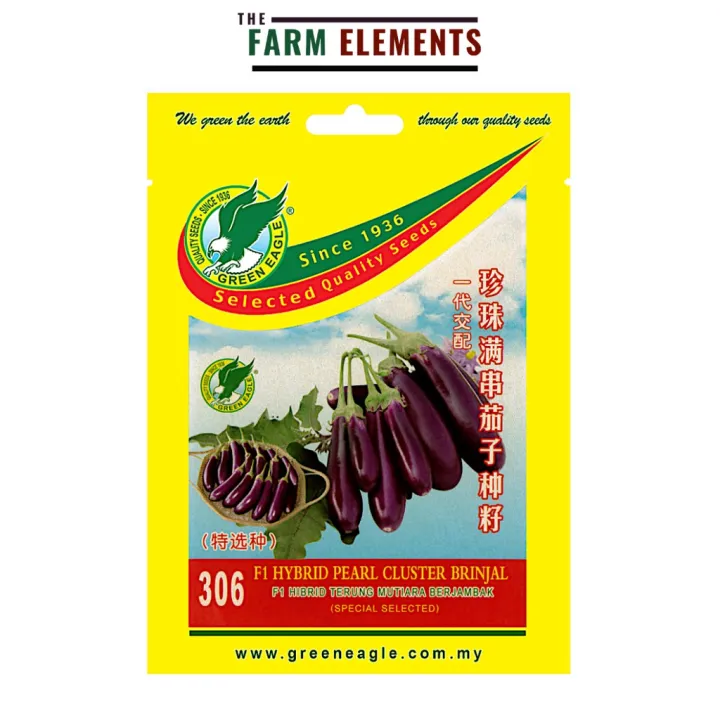 GE 306 F1 Hybrid Pearl Cluster Brinjal Seed/ F1 Hibrid Terung Mutiara ...