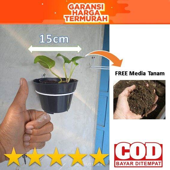 pot dinding tempel / rak pot dinding besi isi 3 pcs | Lazada Indonesia