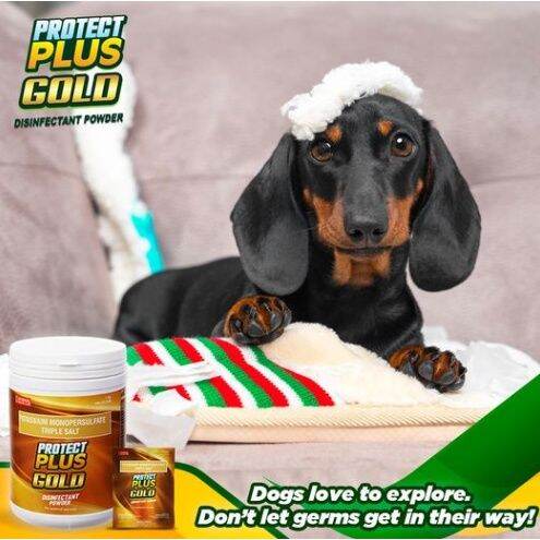 Protect Plus Gold Disinfectant (1kg) for piggery , housing, hatchery ...