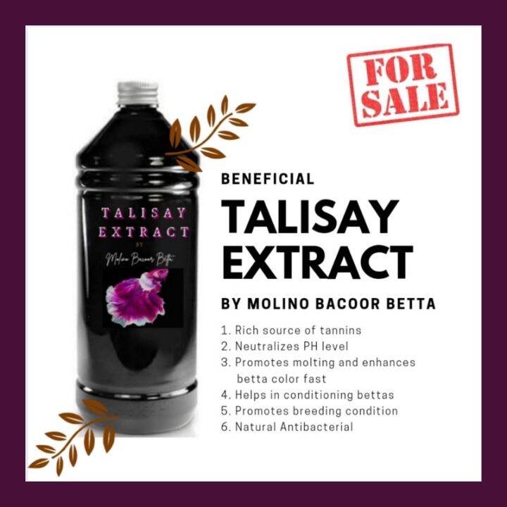 TALISAY EXTRACT BY MOLINO BACOOR BETTA | Lazada PH