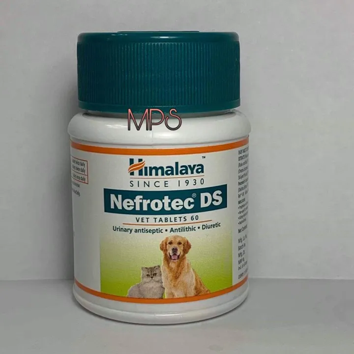 Himalaya Nefrotec DS (60Tablets) | Lazada PH