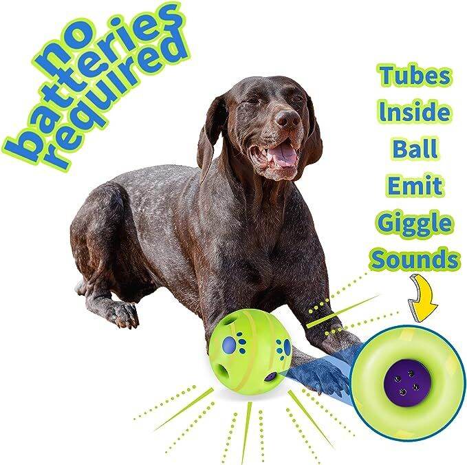 Interactive Pet Dog Toy Fun Giggle Sounds When Rolled or Shaken Chewing ...