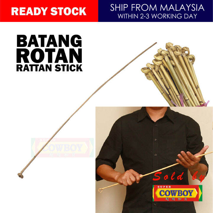 Rotan Natural Sega Stick Rattan Batang Rotan Kanak-Kanak Budak 60cm ...