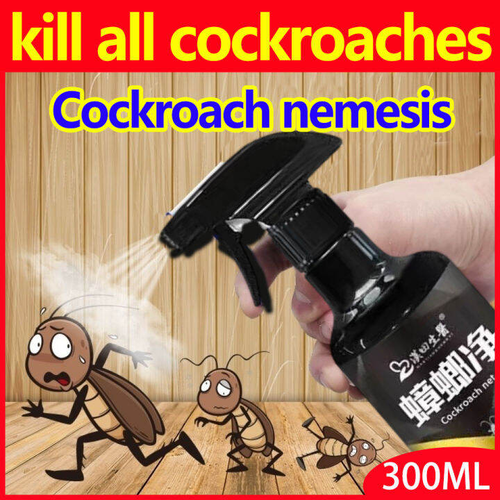 【Kill all cockroaches】Cockroach killer spray 300ML Cockroach eliminator ...
