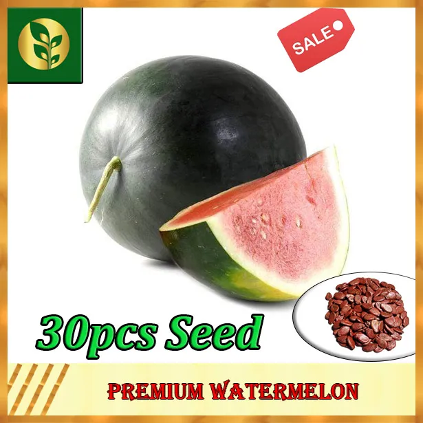 Watermelon Seeds | Pakwan Seeds | Vegetables seeds | Golden Plant and ...