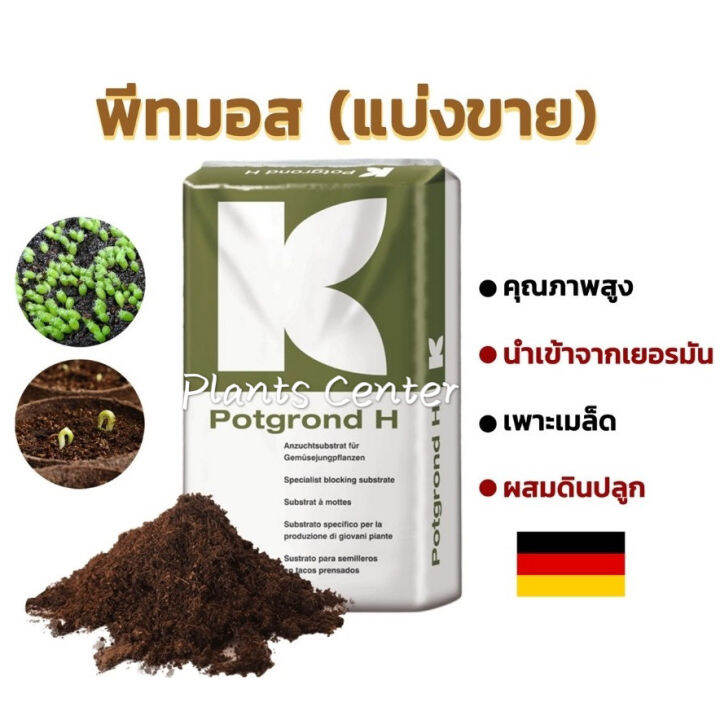 Plants Center พร้อมส่ง 1 กก. พีทมอสสำหรับเพาะต้นกล้า Potgrond H(นำเข้า ...