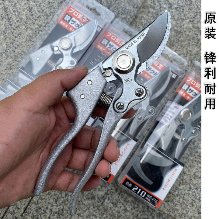 [ของแท้จัดโปร][พร้อมส่ง]กรรไกรตัดกิ่ง SK5 (MADE IN JAPAN) | Lazada.co.th