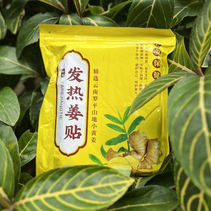 Ginger Patch Pouch (100 pcs.) | Lazada PH