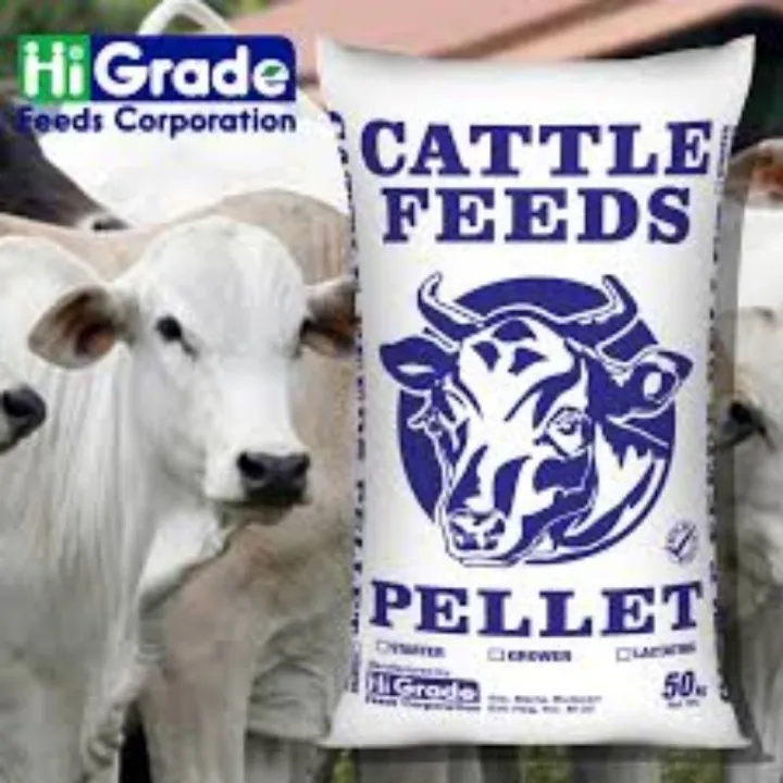 5KG Cattle Feeds Pellet Hi Grade Corp (repacked) laptop table beyblade ...