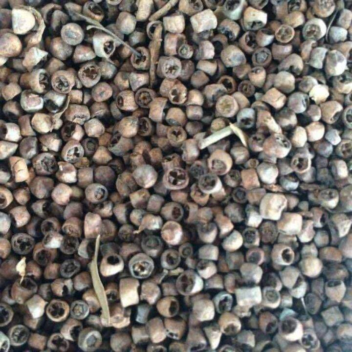 Lada Merica Bolong Kering Rempah Jamu Herbal Tradisional Anti Diare ...