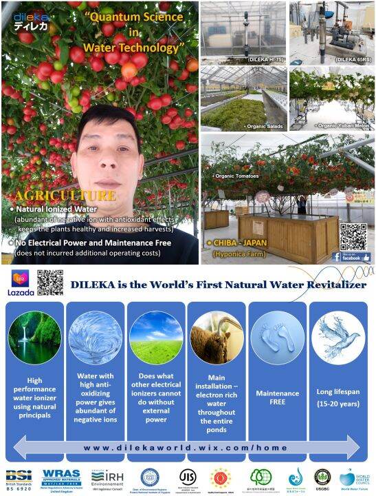 DILEKA 65RS Natural High Quality Water Revitalizer/Ionizer (Made in Japan). World's First ...