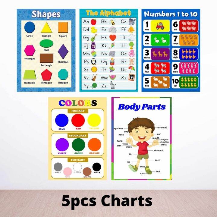 pHBzLttg [BUNDLE] Laminated Educational Charts (beginners) | Lazada PH