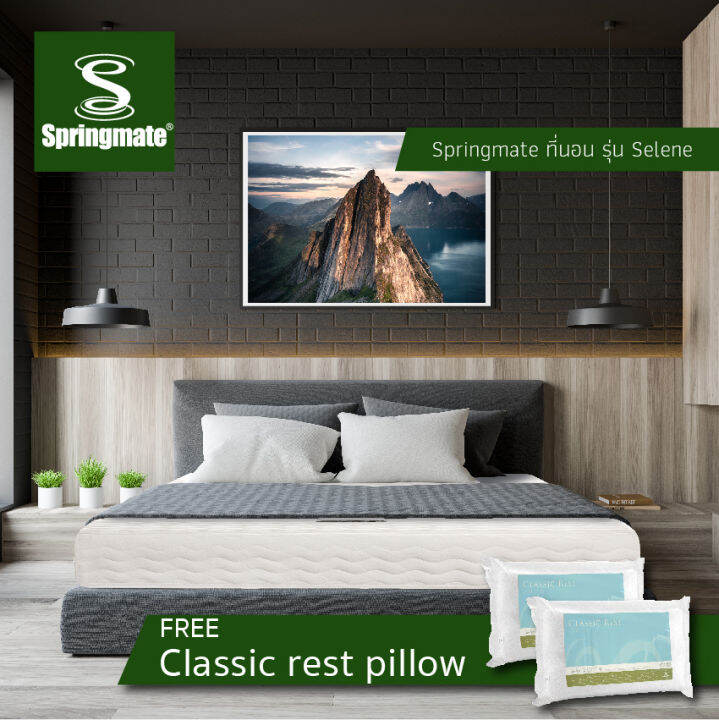 Springmate ที่นอนสปริงรุ่น Selene (เซลีน) แถมฟรี !! หมอนหนุนสุขภาพกันไรฝุ่น - ส่งฟรีทั่วไทย ...