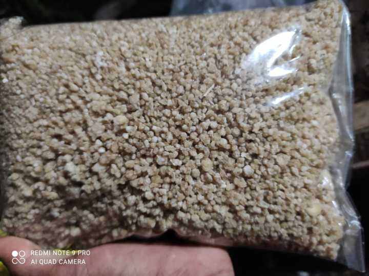 Oyek/Tiwul Sngkong Kemasan 10Kg | Lazada Indonesia