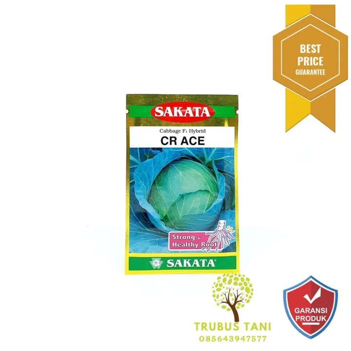 Sakata Seed Cabbage F1 Hybrid CR ACE - Benih Kubis -10 gram | Lazada ...