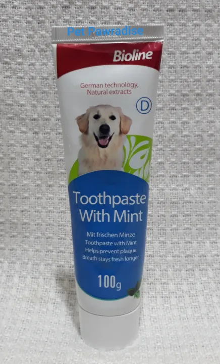 Bioline Toothpaste Mint Flavor 100g | Lazada PH