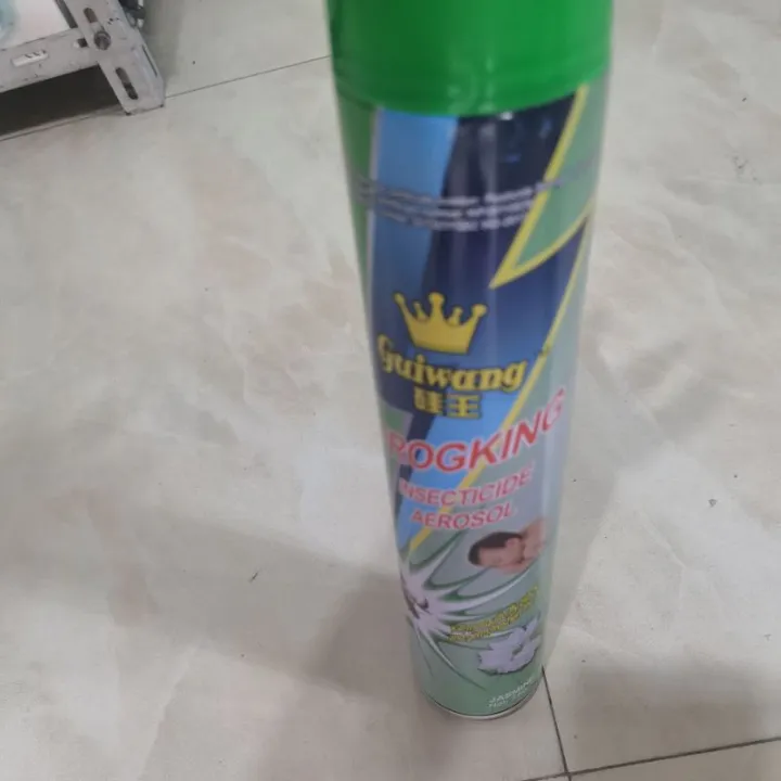 Wawang/Guiwang Spray Insect 750 ml | Lazada PH