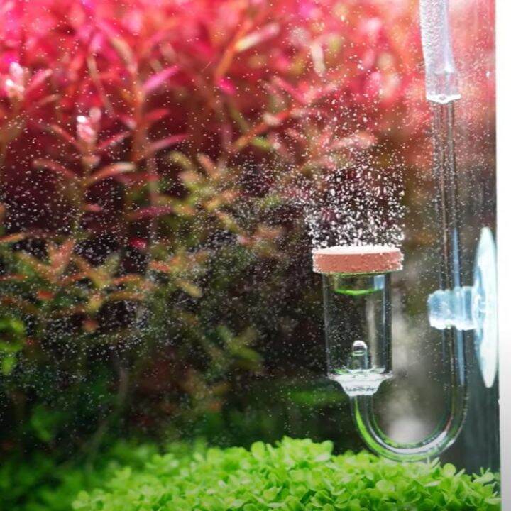 Chihiros Nano CO2 Diffuser Aquarium Accessories | Lazada