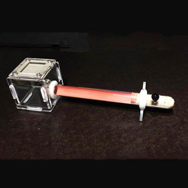 Mini Single Test Tube Nest New Acrylic Ant Nest Caage Nest Ants Farm ...