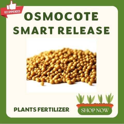 OSMOCOTE FERTILIZER SMART RELEASE - 10grams | Lazada PH