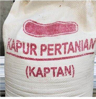 Kapur pertanian kapur dolomit 10kg untuk menyuburkan tanah harga murah ...