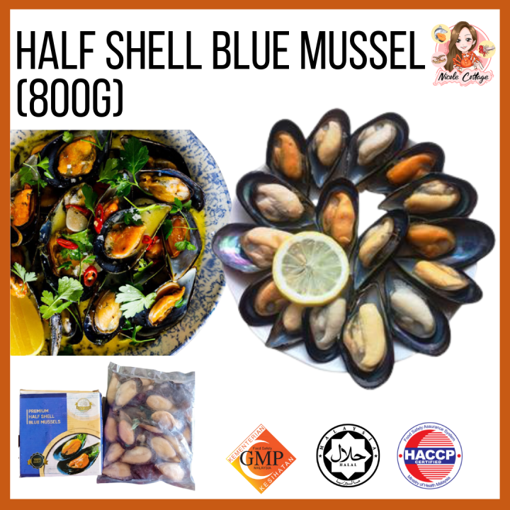Premium Grade Half Shell Blue Mussel 800G | Lazada